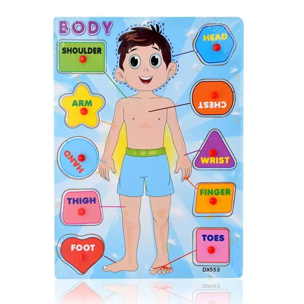 Wooden Body Parts Learning Educational Board-Boy – MGT Toys