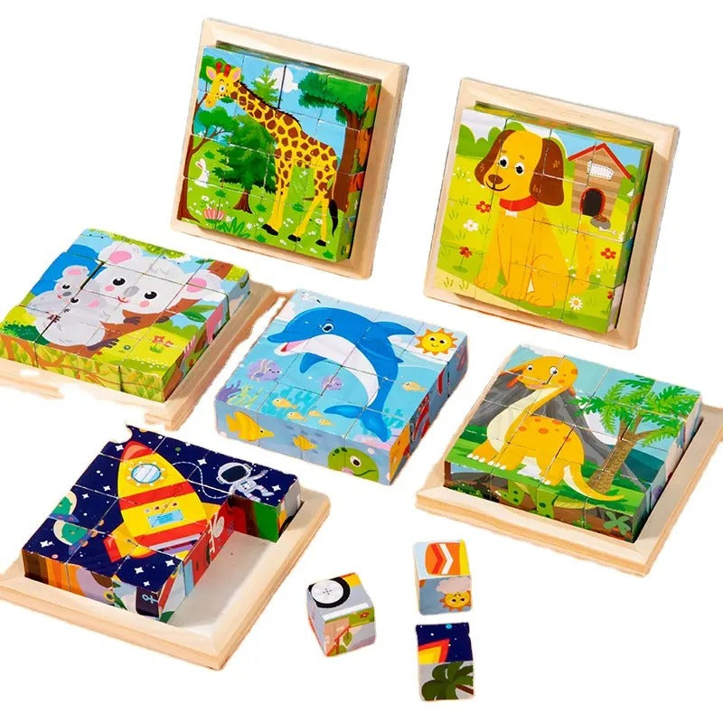 Wooden 6 in 1 Cartoons Cubes Montessori Puzzles Sorting Game – MGT Toys